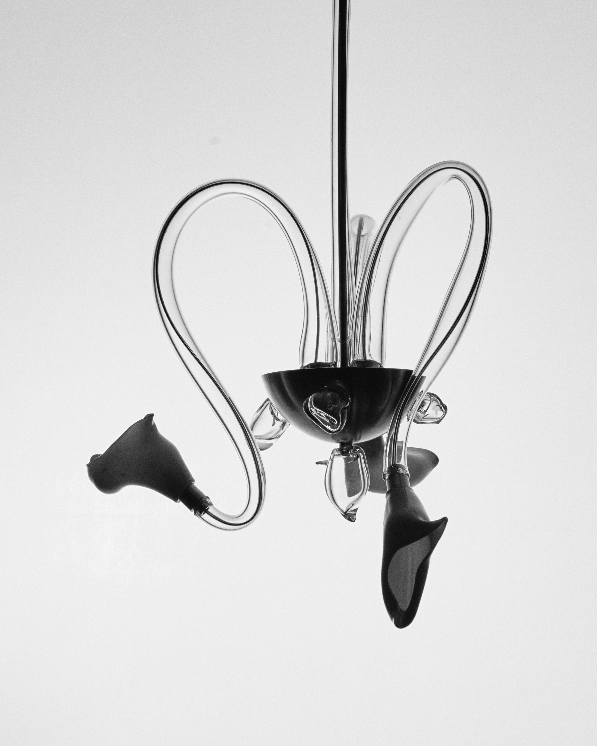 MIRANDA KEYES – Jermaine Gallacher